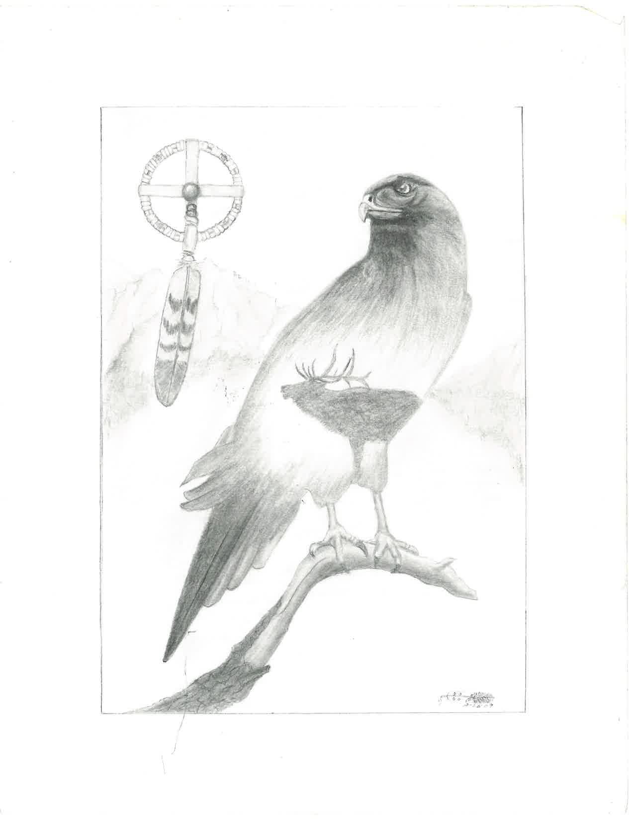 Heart of the Hawk | Harmony in Balance